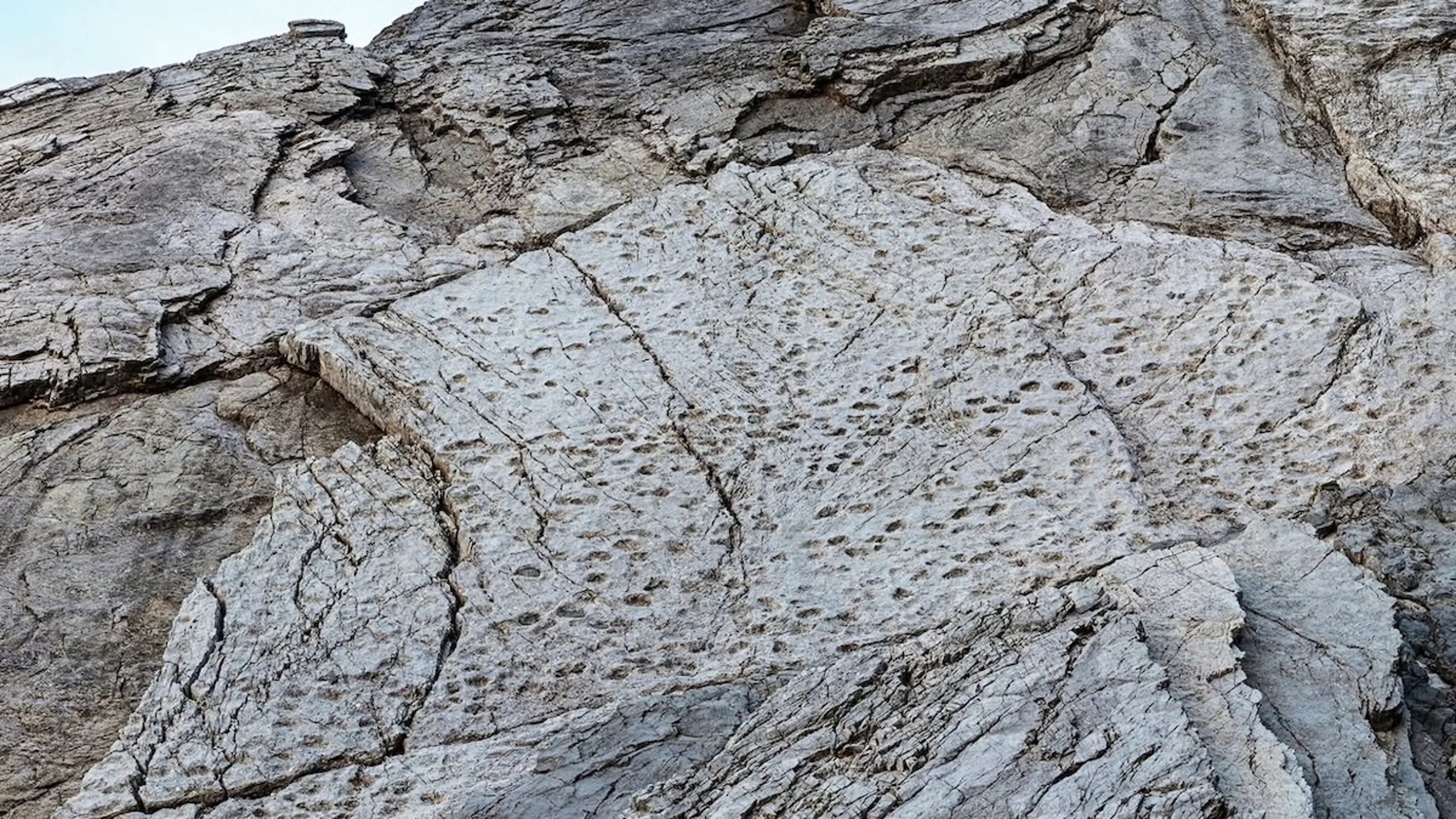 Inside The Games • Fossils "bridge ancient history with modern Games"